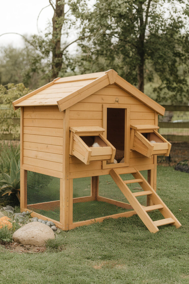13 Creative Chicken Coop Ideas to Inspire Your Backyard Design - The ...