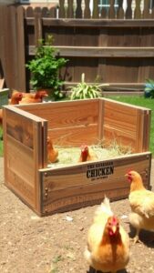 10 Cozy & Clever Nesting Box Ideas Your Chickens Will Love (Easy DIY ...