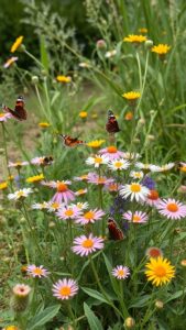 13 Creative Small Garden Design Ideas for Your Outdoors - The Daily Farming